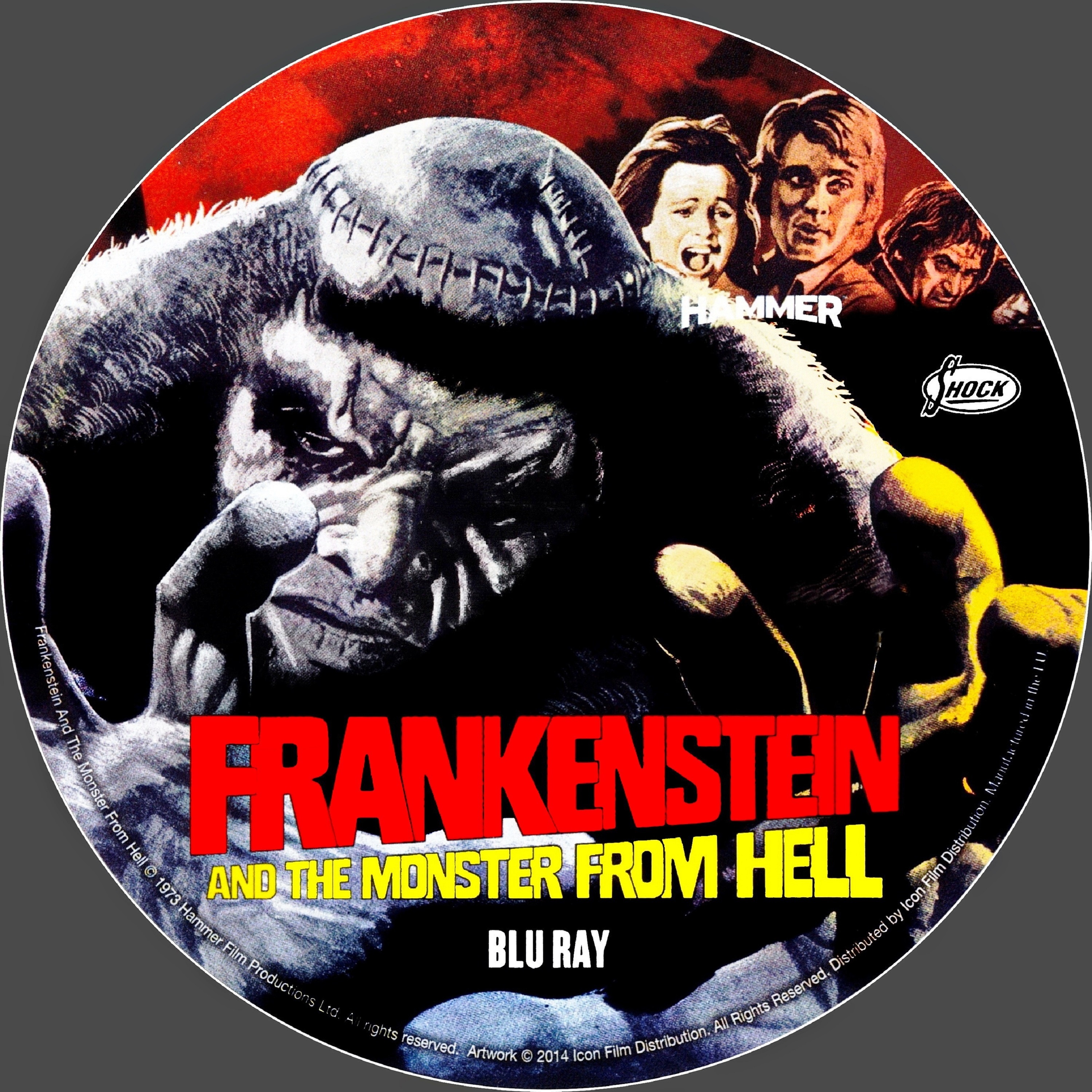Frankenstein And The Monster From Hell Dvd Frankenstein And The