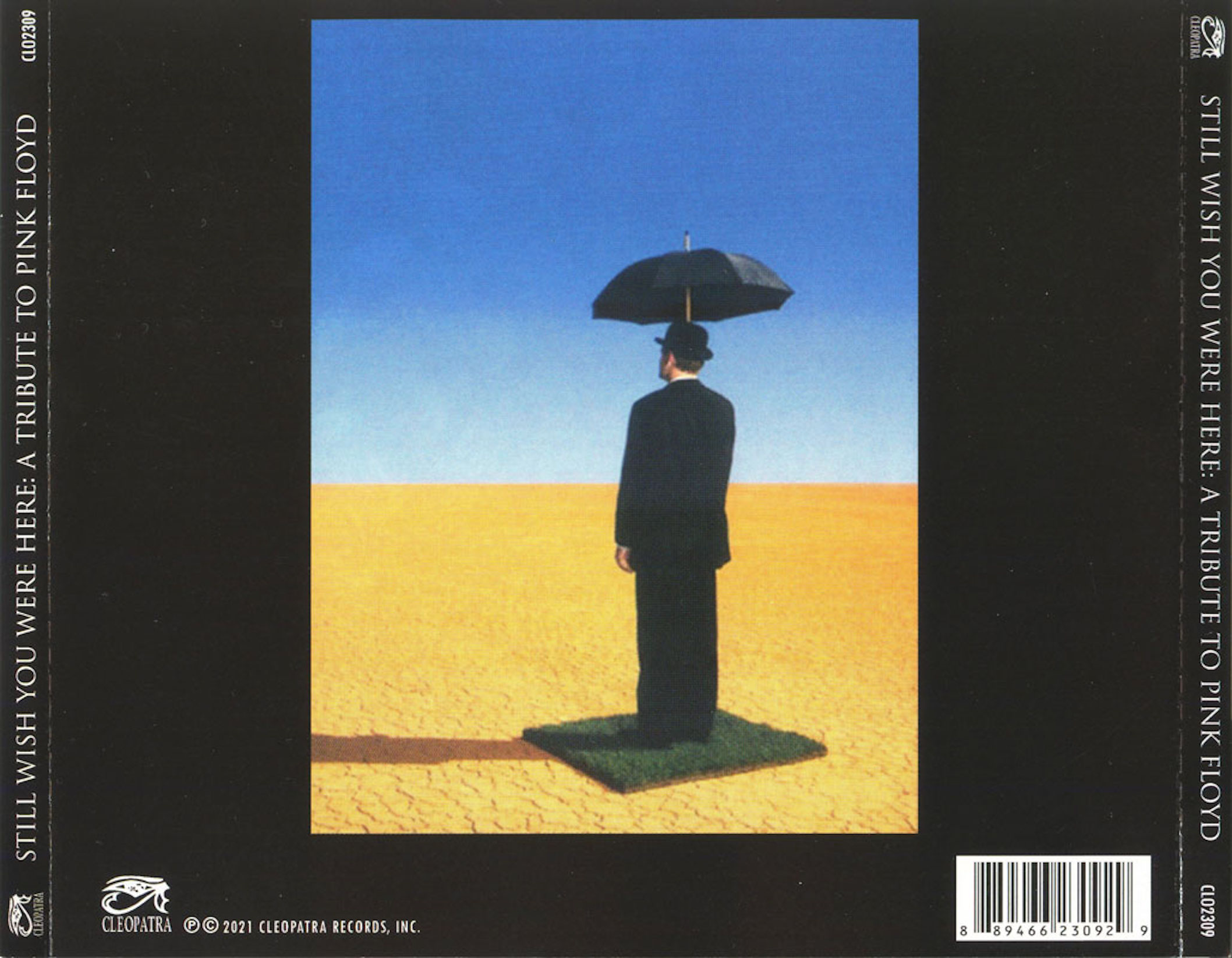 Wish You Were Here Dvd
